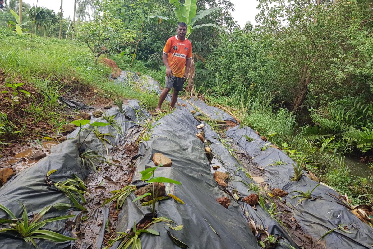 Here's How Agriculture Has A Plastic Problem